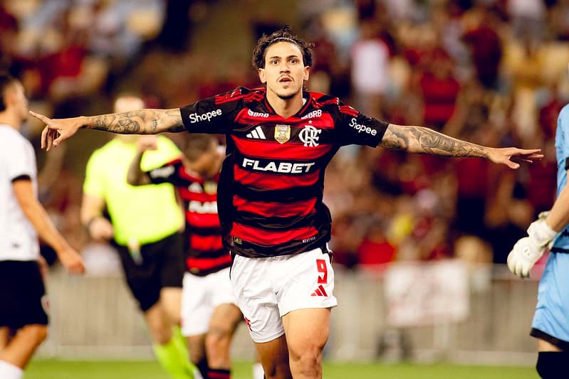 Se na Copa do Brasil a graça é ver zebra, o Flamengo fez sua parte por ...